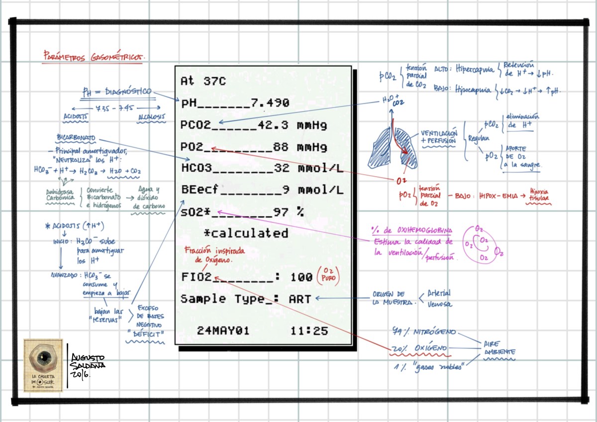 Medicina de urgencias: Parámetros de una lectura gasométrica